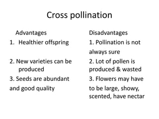Pollination in plants | PPTX
