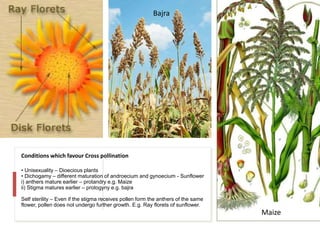 Pollination in plants | PPTX