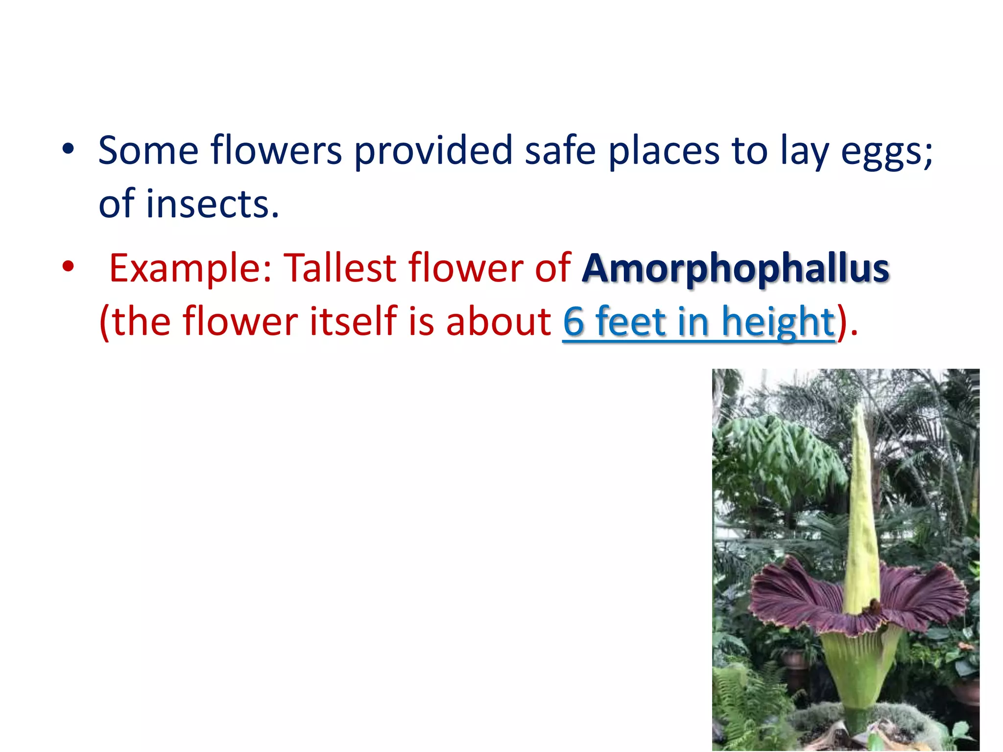 Pollination, Pollination types, Chasmogamous, Cleistogamous flowers ...