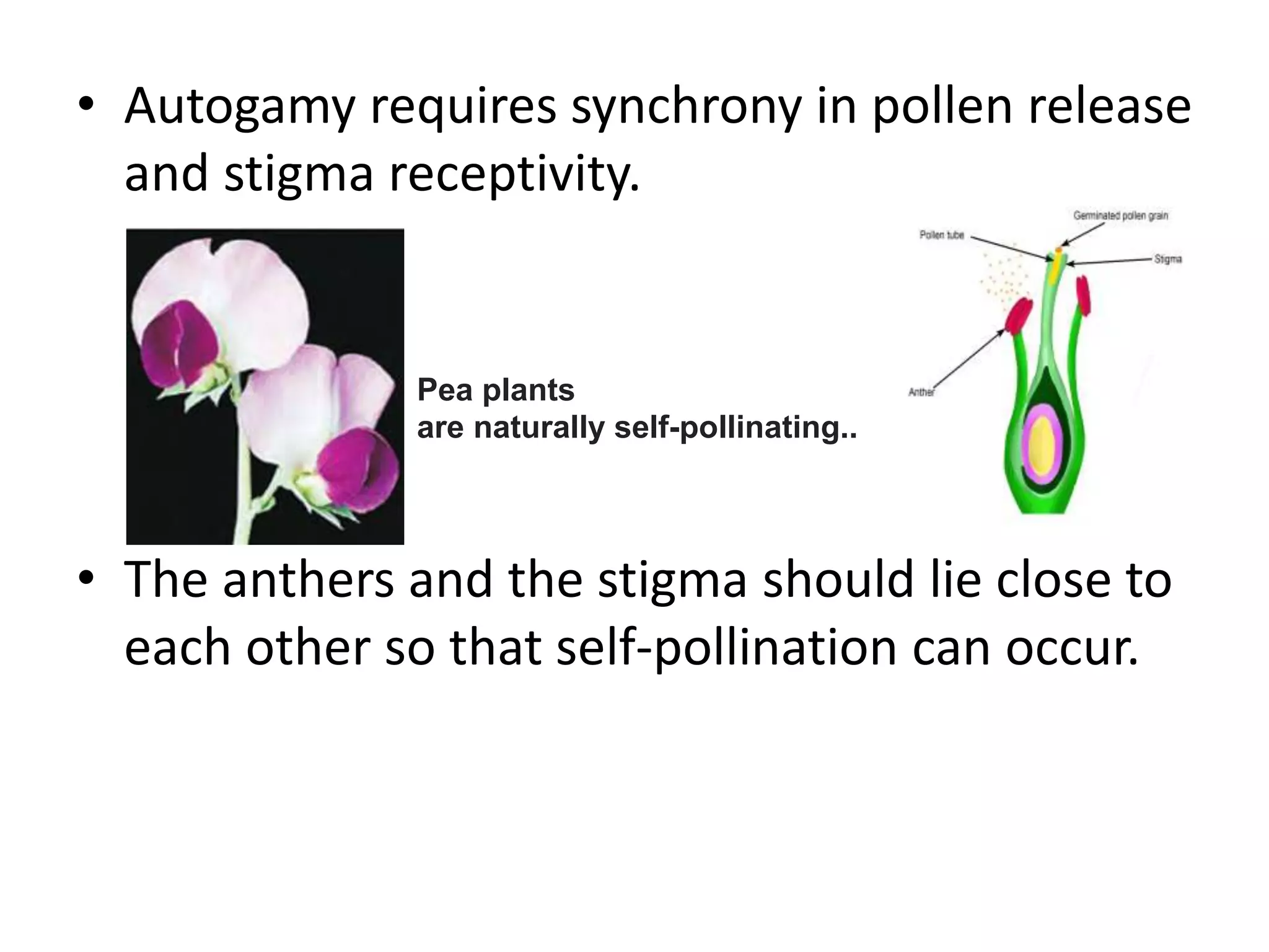 Pollination, Pollination types, Chasmogamous, Cleistogamous flowers ...
