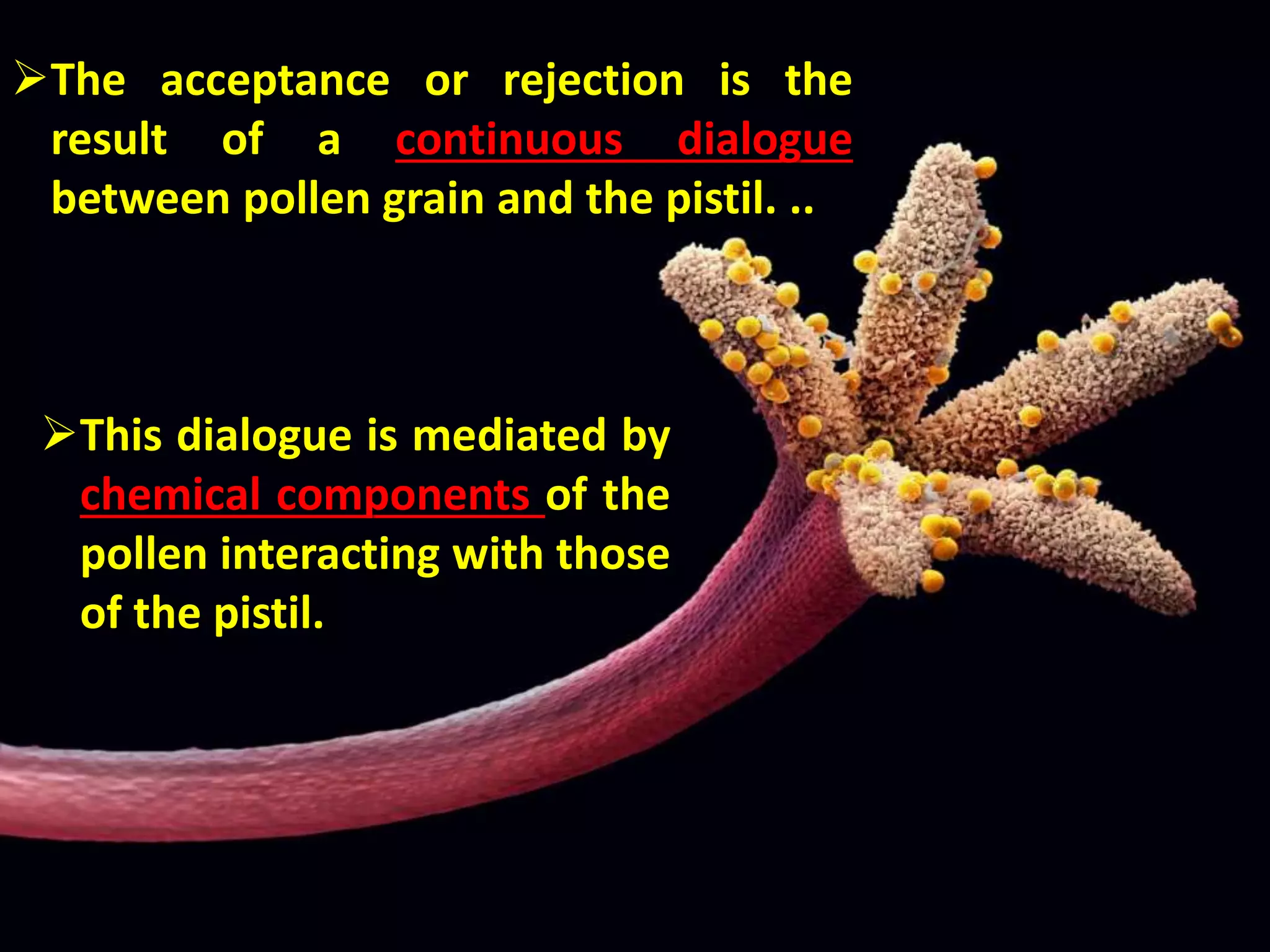 Pollination, Pollination types, Chasmogamous, Cleistogamous flowers ...