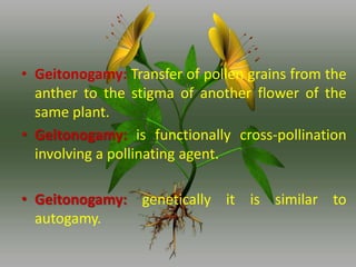 Pollination, Pollination types, Chasmogamous, Cleistogamous flowers ...