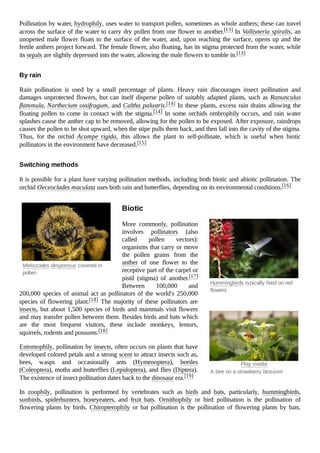 Pollination | PDF