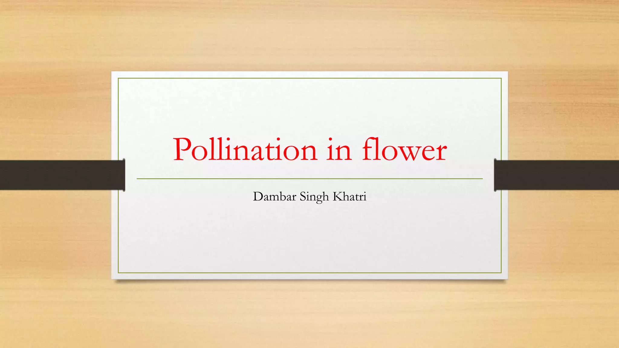 Pollination/class 12 biology | PPTX