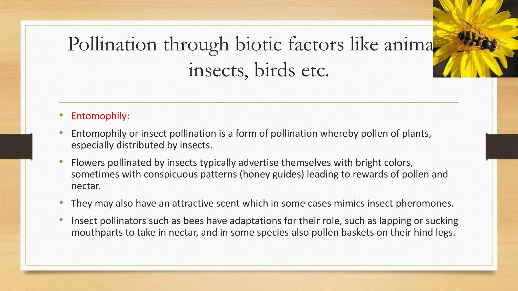 Pollination/class 12 biology | PPTX