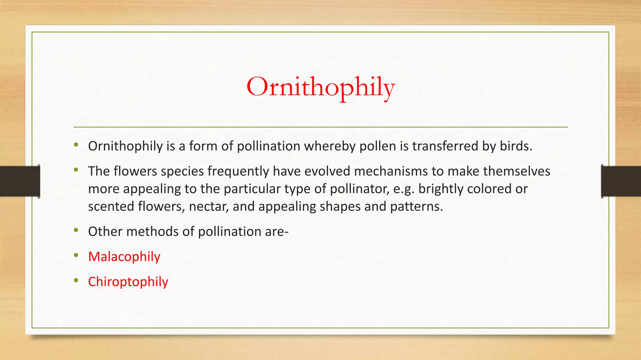 Pollination/class 12 biology | PPTX