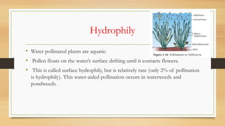 Pollination/class 12 biology | PPTX