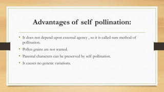 Pollination/class 12 biology | PPTX