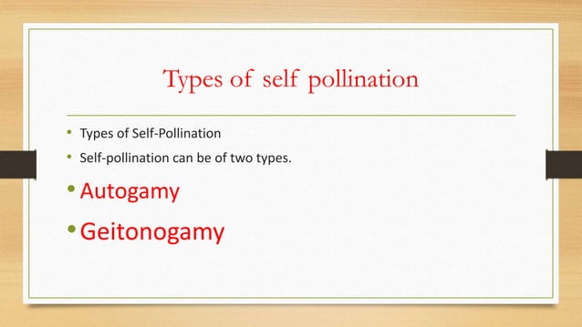 Pollination/class 12 biology | PPTX