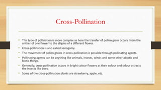 Pollination/class 12 biology | PPTX