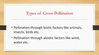 Pollination/class 12 biology | PPTX