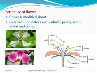 Pollination. | PDF