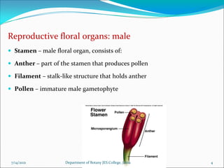 Pollination. | PDF