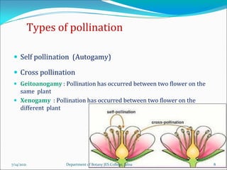 Pollination. | PDF