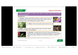 Pollination | PDF