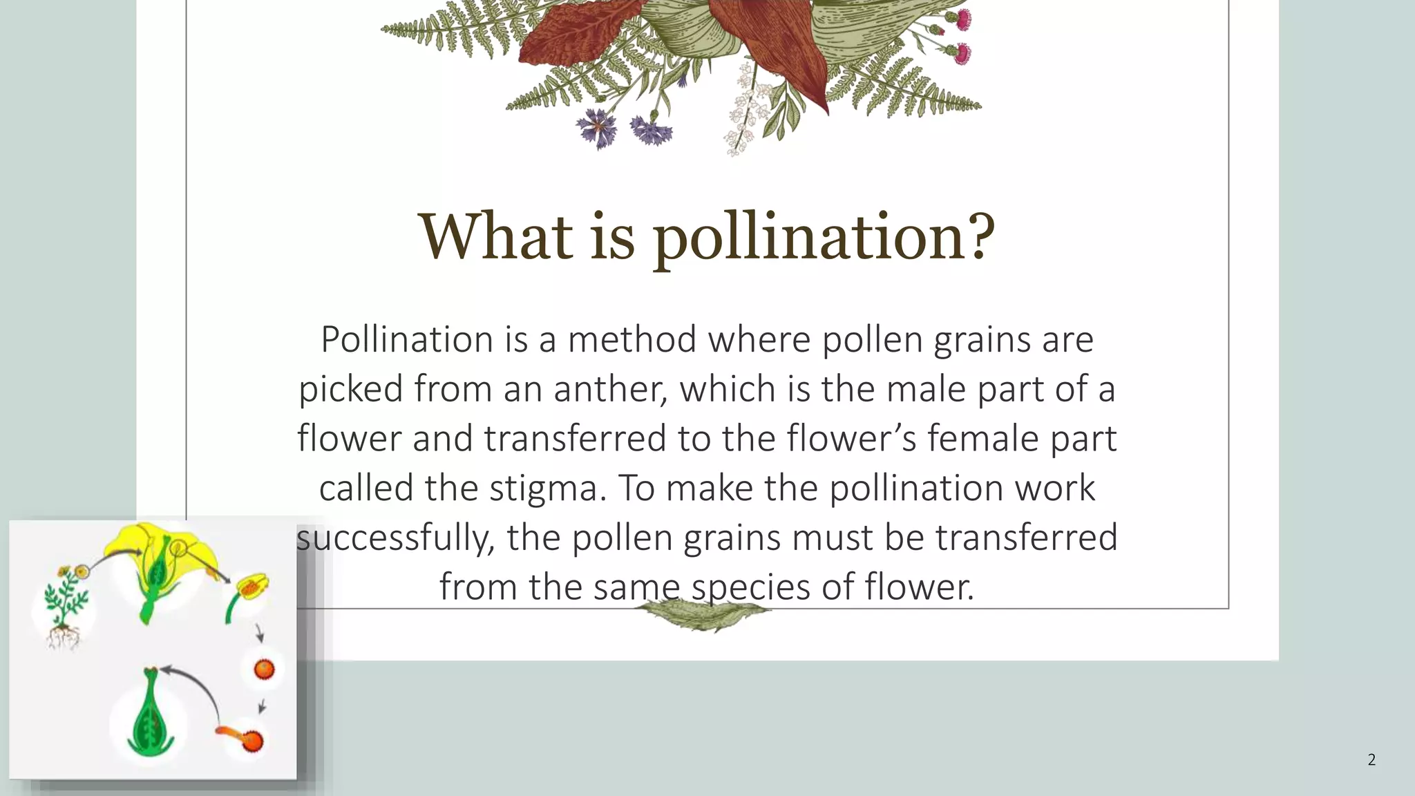 Pollination.pptx