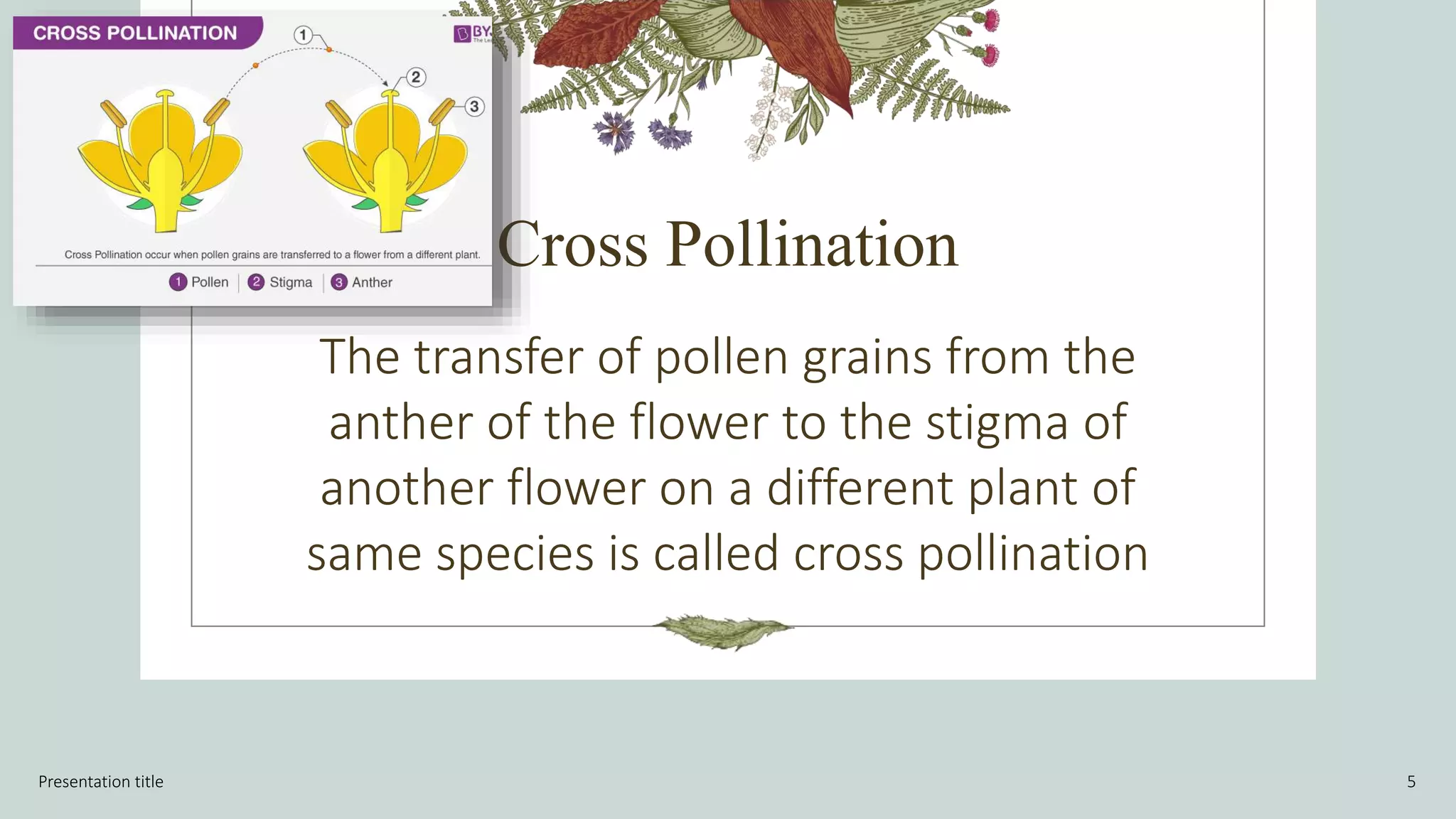 Pollination.pptx