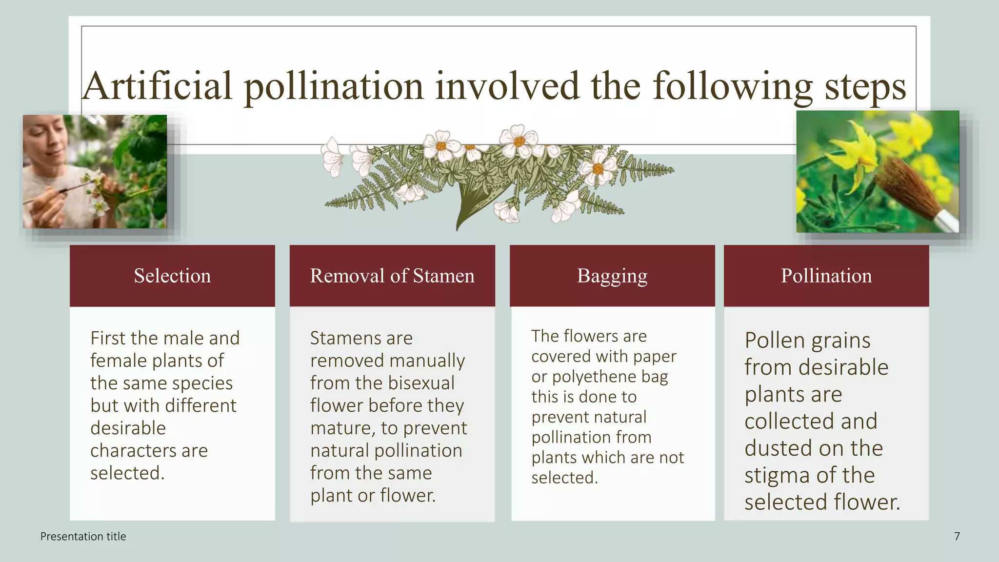 Pollination.pptx