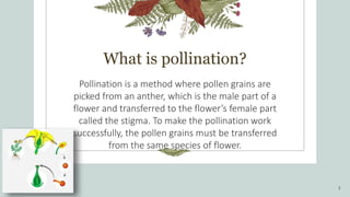 Pollination.pptx