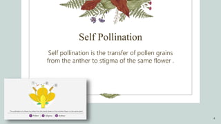 Pollination.pptx