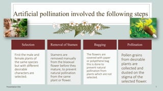 Pollination.pptx
