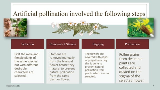 Pollination.pptx