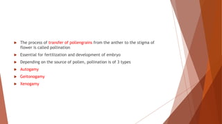 POLLINATION.pptx