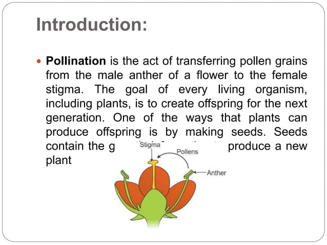 Pollination.pptx