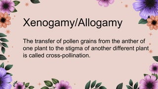 pollination.pptx
