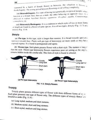 Pollination and fertilisation of fruit crops | PDF | Gardening | Home ...
