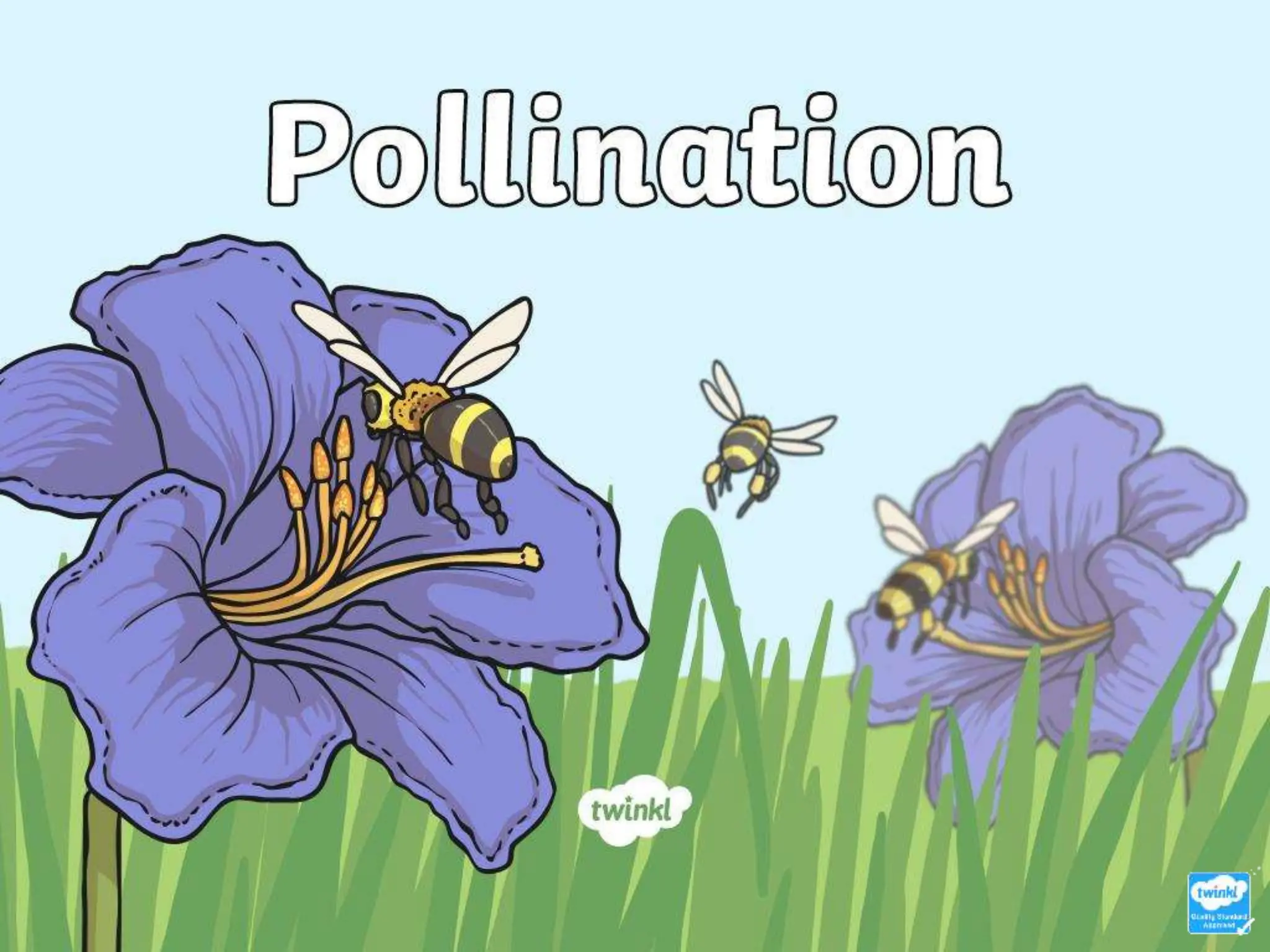 Pollination.pptx pollination and their importance | PPT
