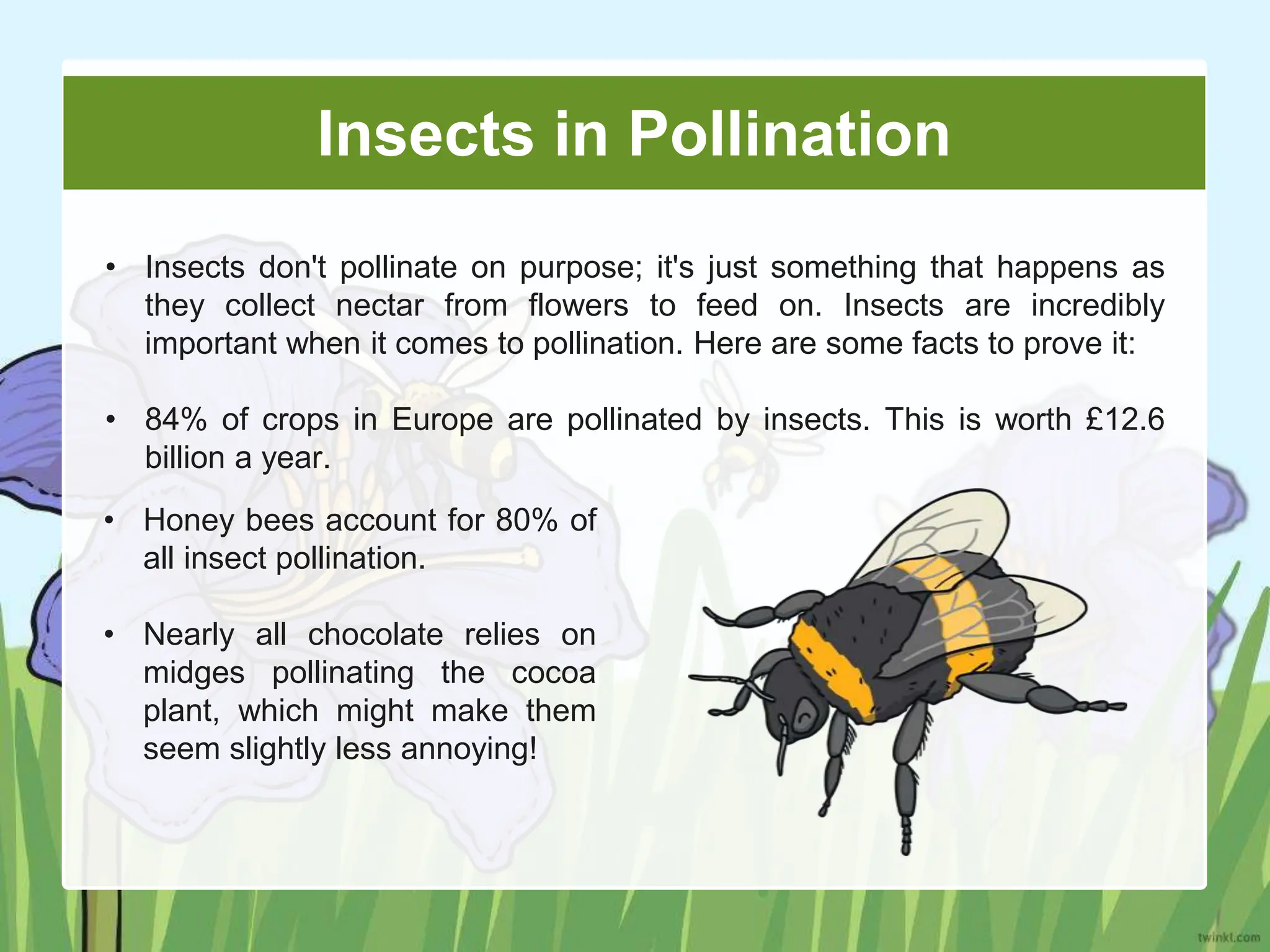 Pollination.pptx pollination and their importance | PPTX