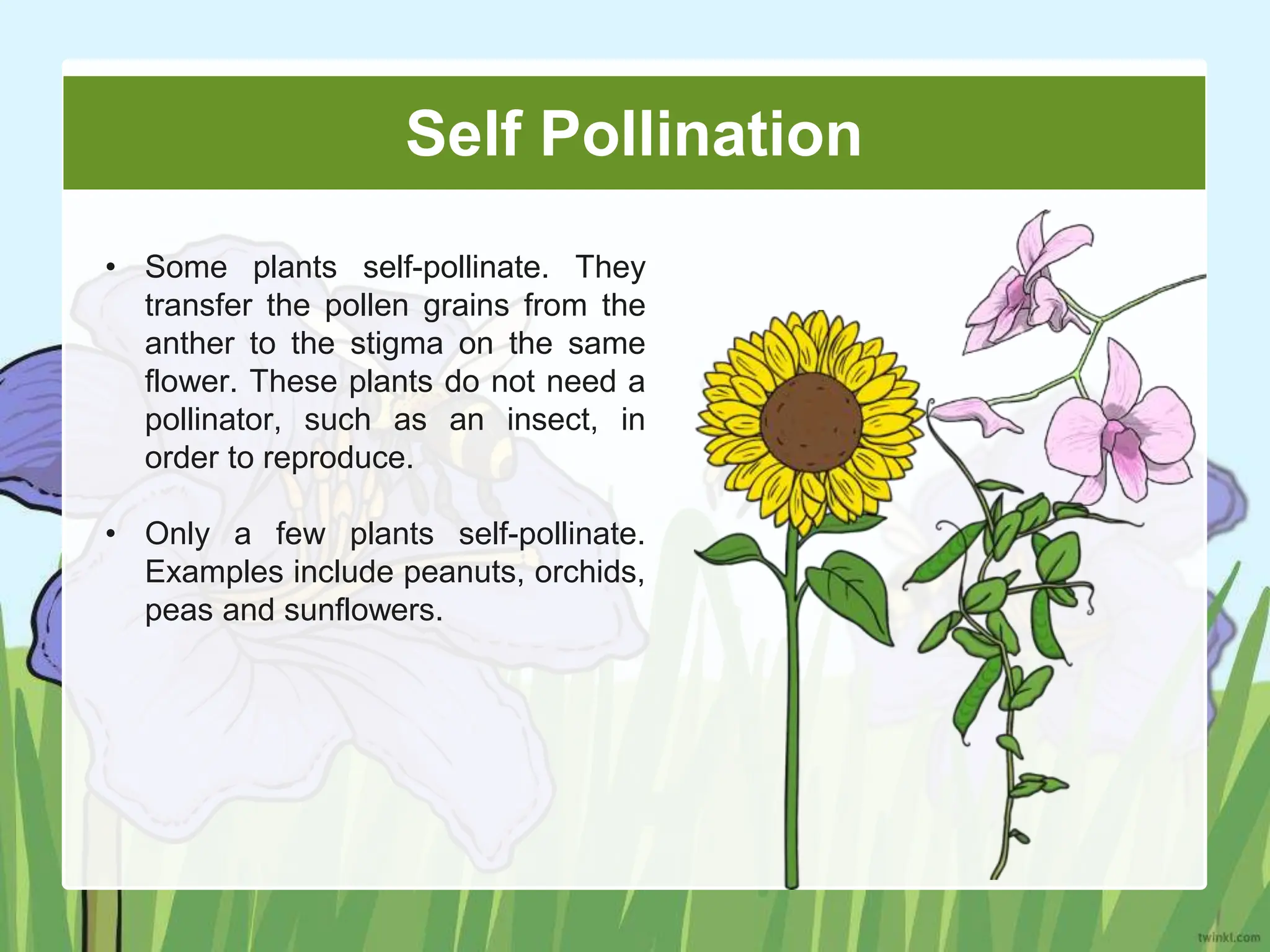 Pollination.pptx pollination and their importance | PPTX
