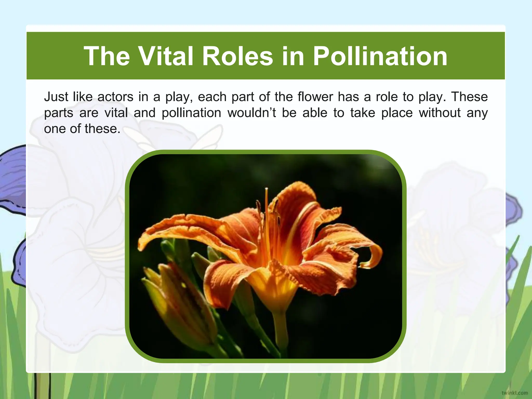 Pollination.pptx pollination and their importance | PPTX