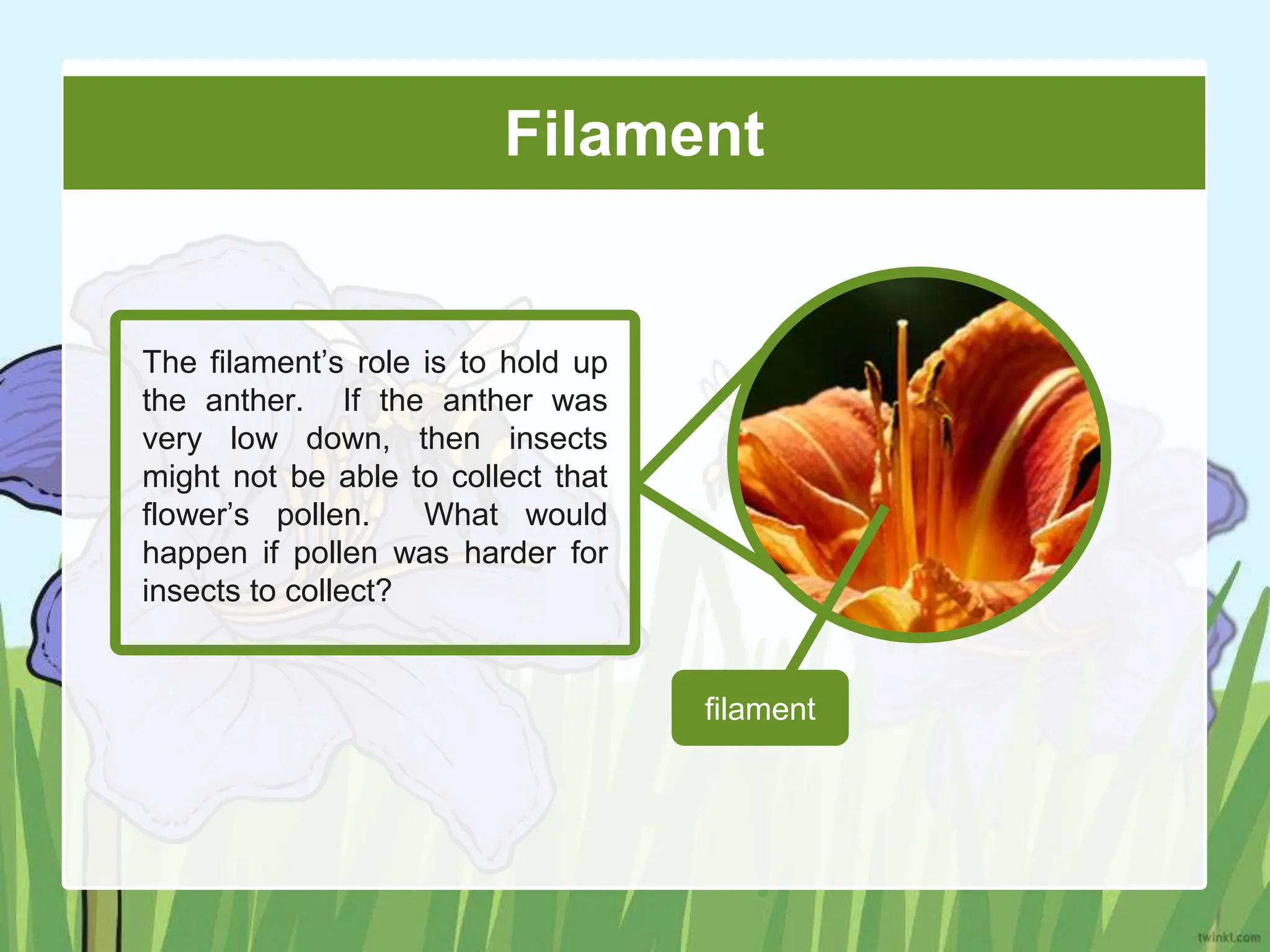 Pollination.pptx pollination and their importance | PPTX