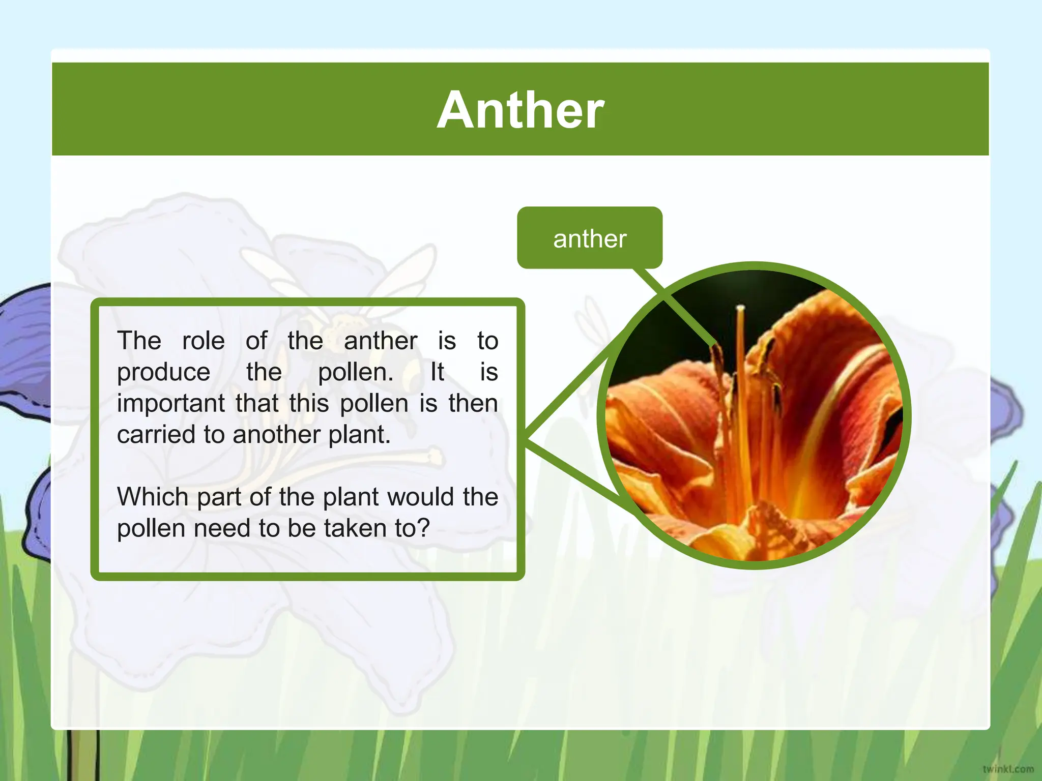 Pollination.pptx pollination and their importance | PPTX