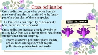 POLLINATION IN PLANTS AND DIFFERENT TYPES OF POLLINATION | PPTX