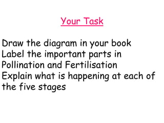 Pollination-and-Fertilisation.ppt plants | PPT