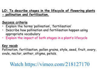 Pollination-and-Fertilisation.ppt plants | PPT