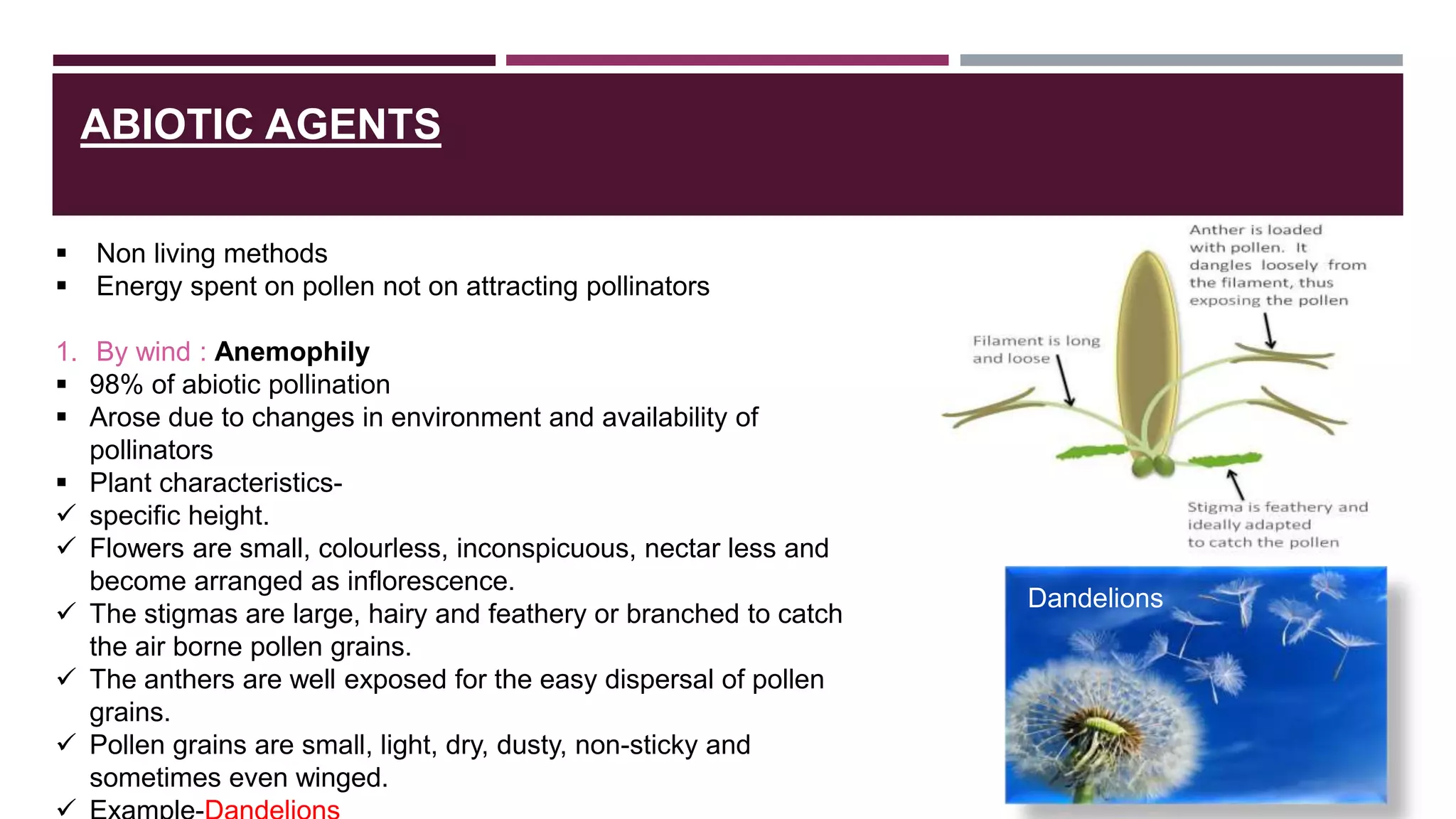 Pollination Detailed Explanation with examples | PPTX