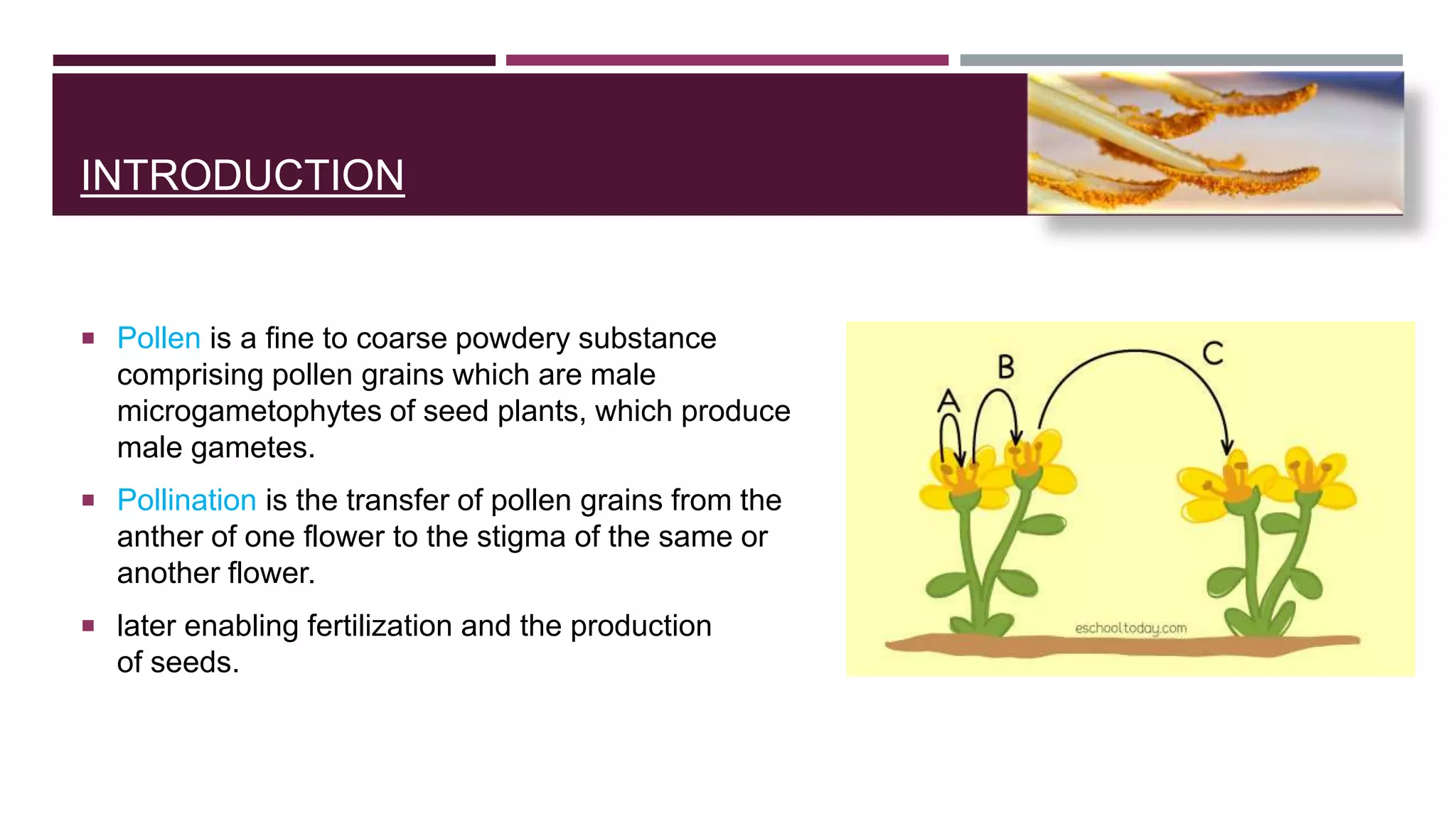 Pollination Detailed Explanation with examples | PPTX