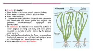 Pollination Detailed Explanation with examples | PPTX
