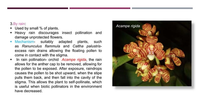 Pollination Detailed Explanation with examples | PPTX | Gardening ...