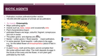 Pollination Detailed Explanation with examples | PPTX