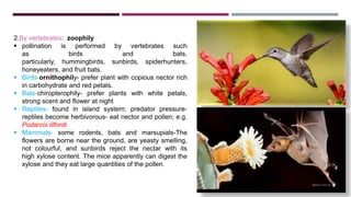Pollination Detailed Explanation with examples | PPTX