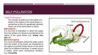 Pollination Detailed Explanation with examples | PPTX