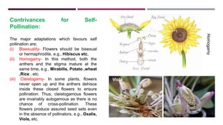 Self Pollination Examples