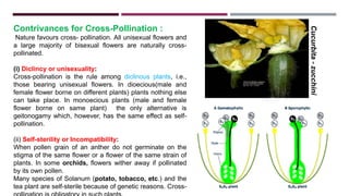 Self Pollination Examples