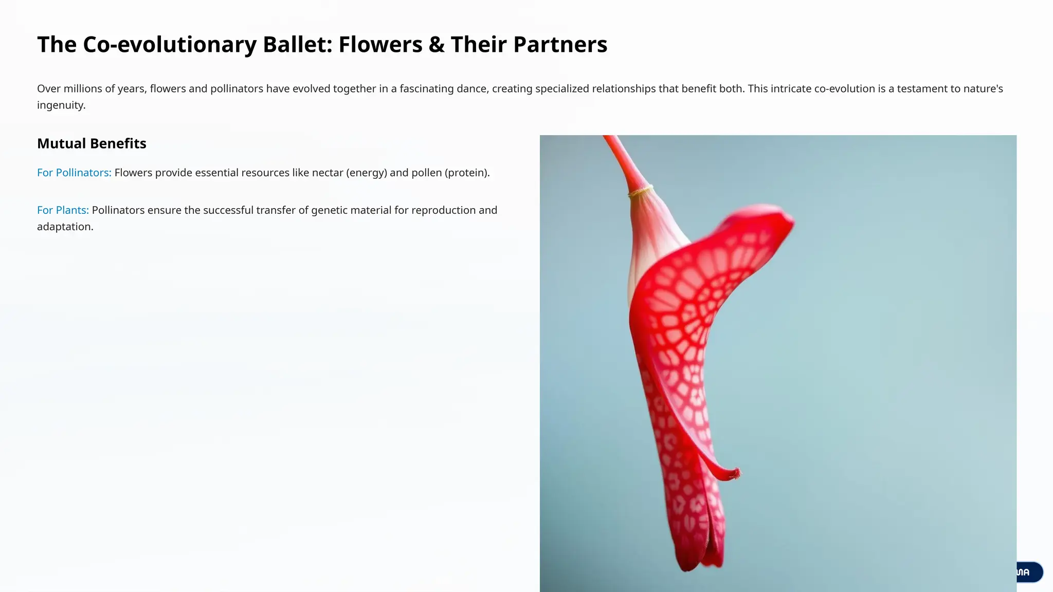 Pollination-The-Unsung-Heroes-of-Our-Planet.pptx