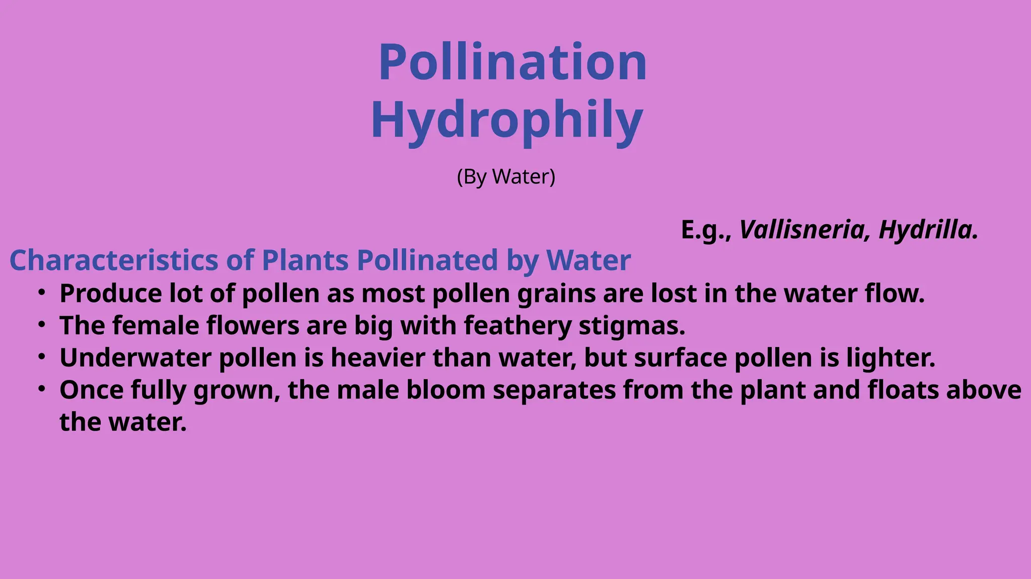 POLLINATION- TYPES, AGENTS AND IMPORTANCE.pptx